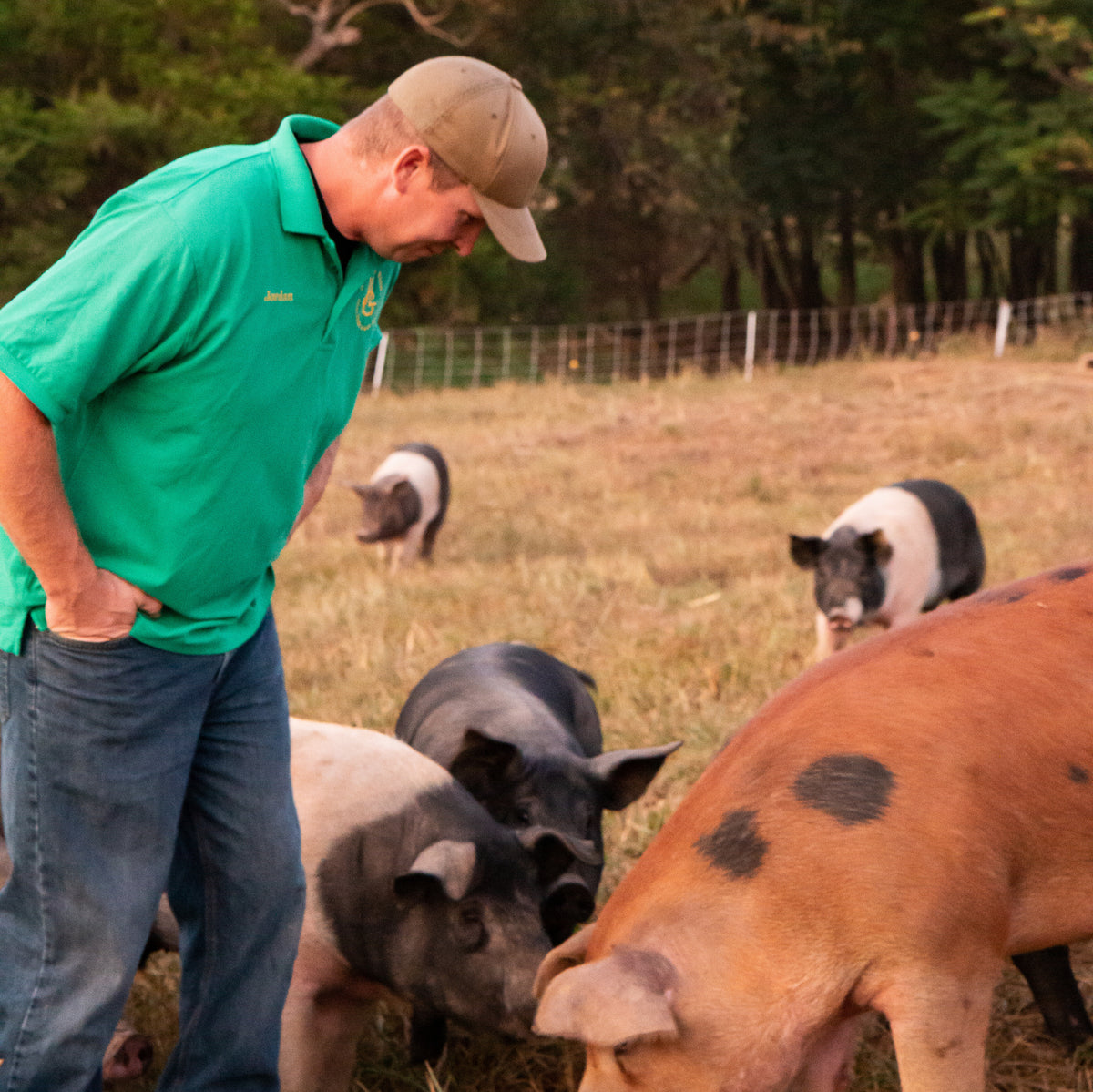 Guided Farm Tour – FarmBuilder